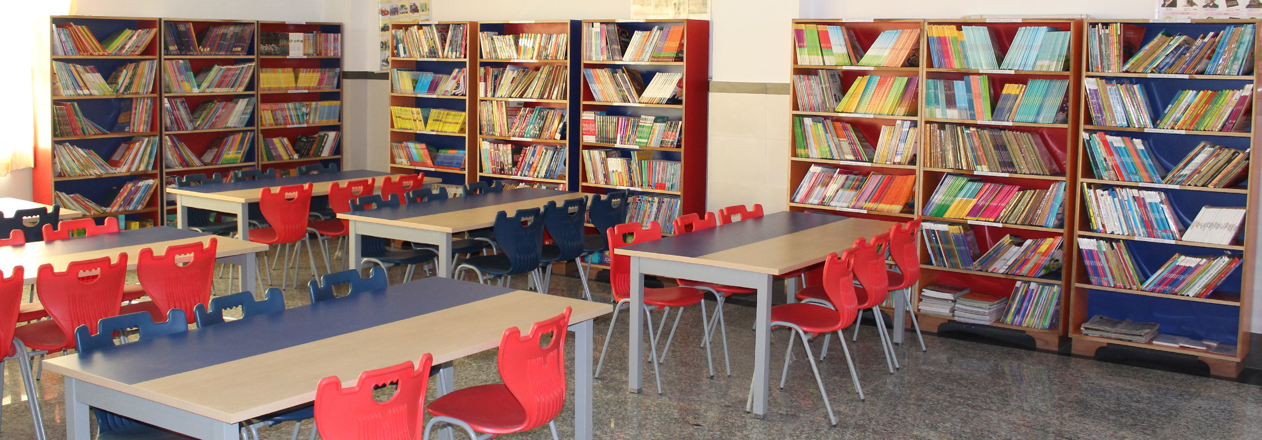 Delhi Public World International School Sikar - Top English Medium School